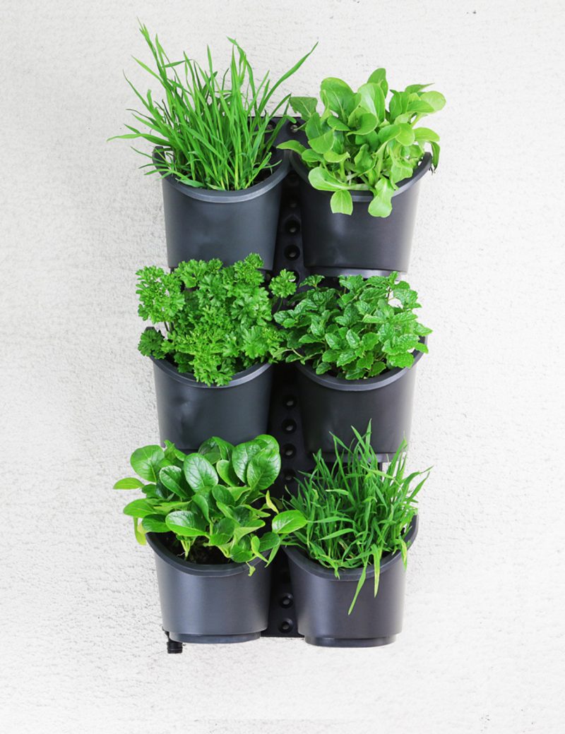 Easy-to-use planting kits - Completehome