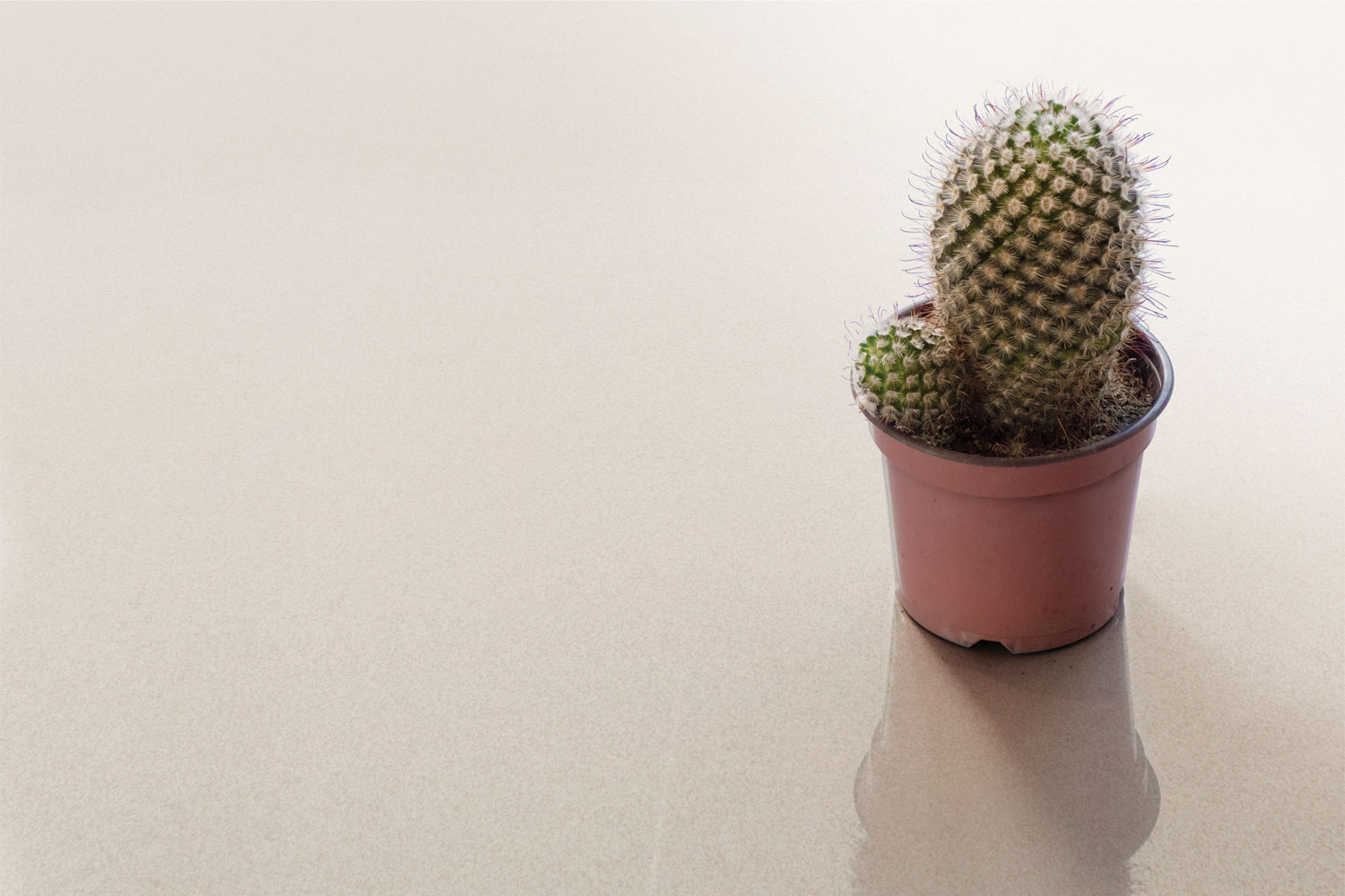 4 new Dekton ® colours we love - Completehome