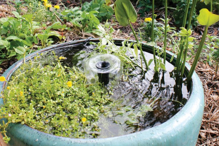 Stylising your outdoor space: ceramic pots - Completehome