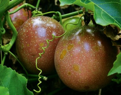 The bucket test: how to measure your water pressure and flow rate