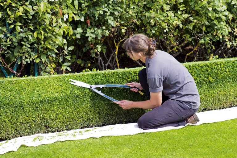 12 simple tasks for a regular garden maintenance routine - Completehome