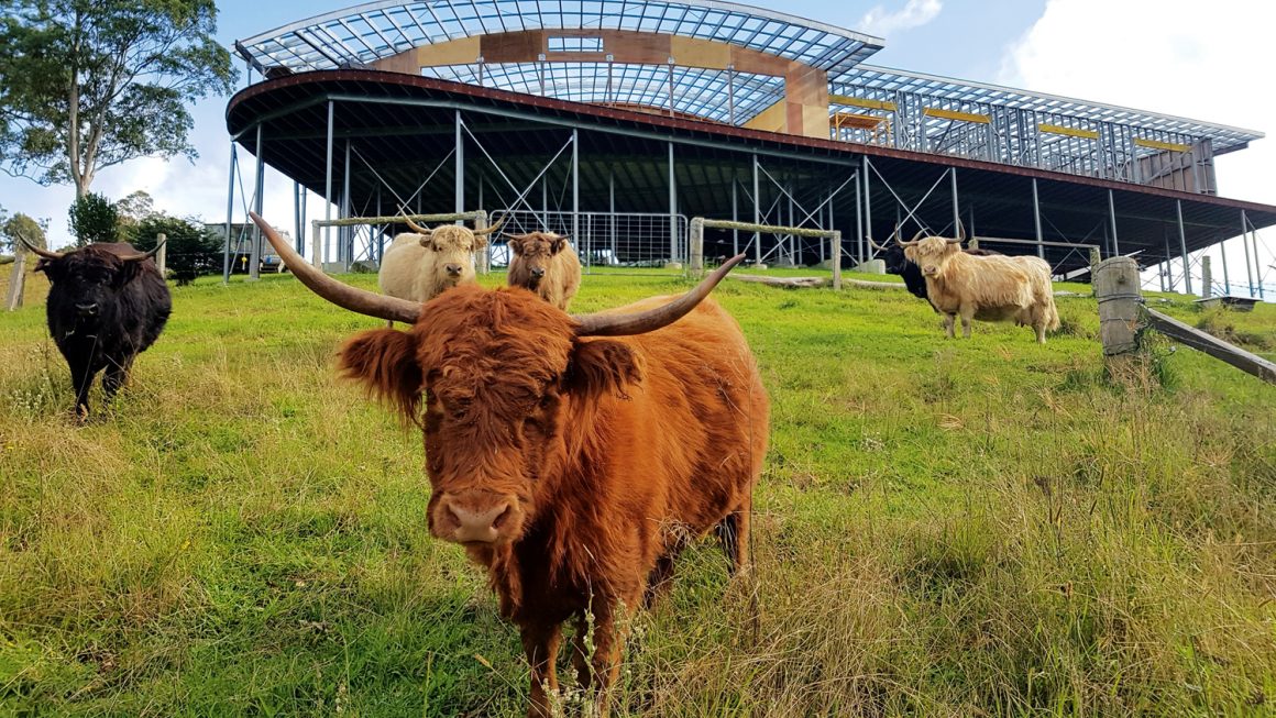 A steel flooring system by Spantec for a solid foundation