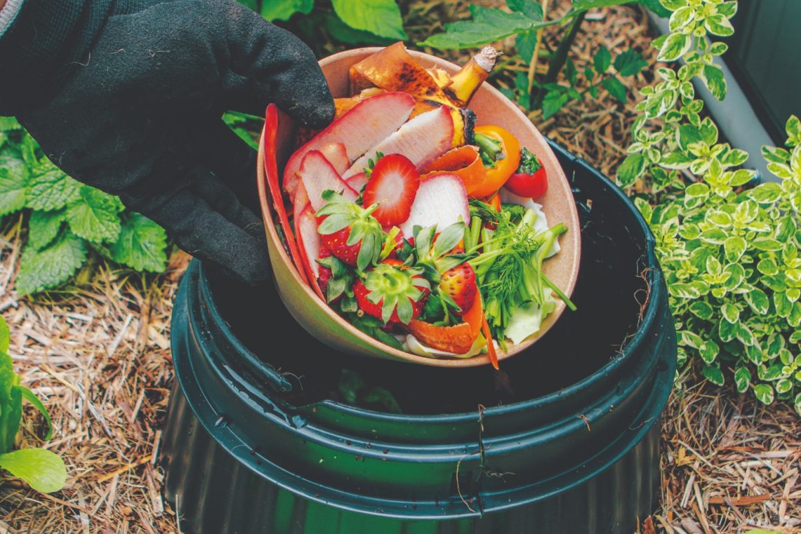 Compost and worm farming - how does that work?