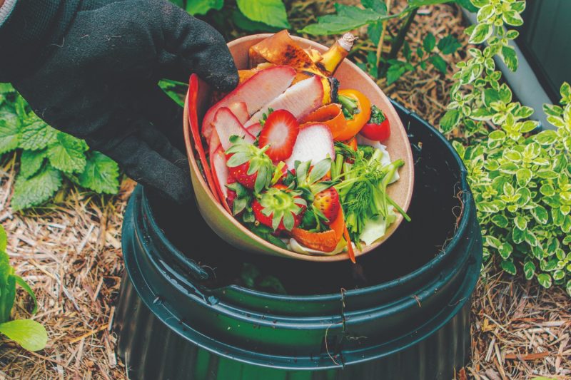 Compost and worm farming - how does that work?