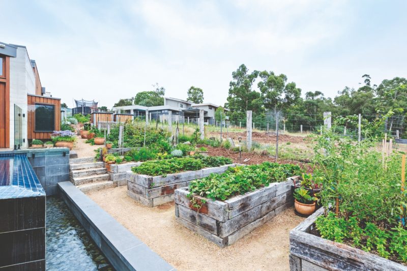 This low carbon footprint garden is of good design and sustainability
