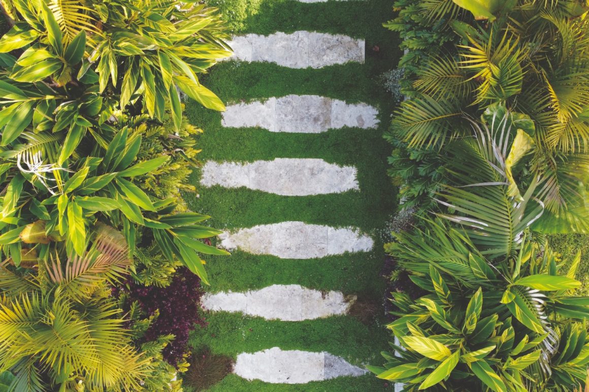 Transforming a Barren Front Yard into a Welcoming Retreat - Completehome