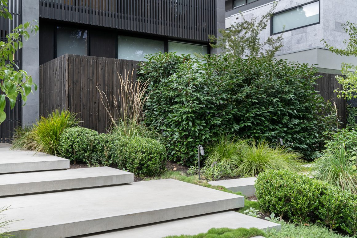 Hungry Wolf Studio: Where Innovation Meets Architectural Concrete ...