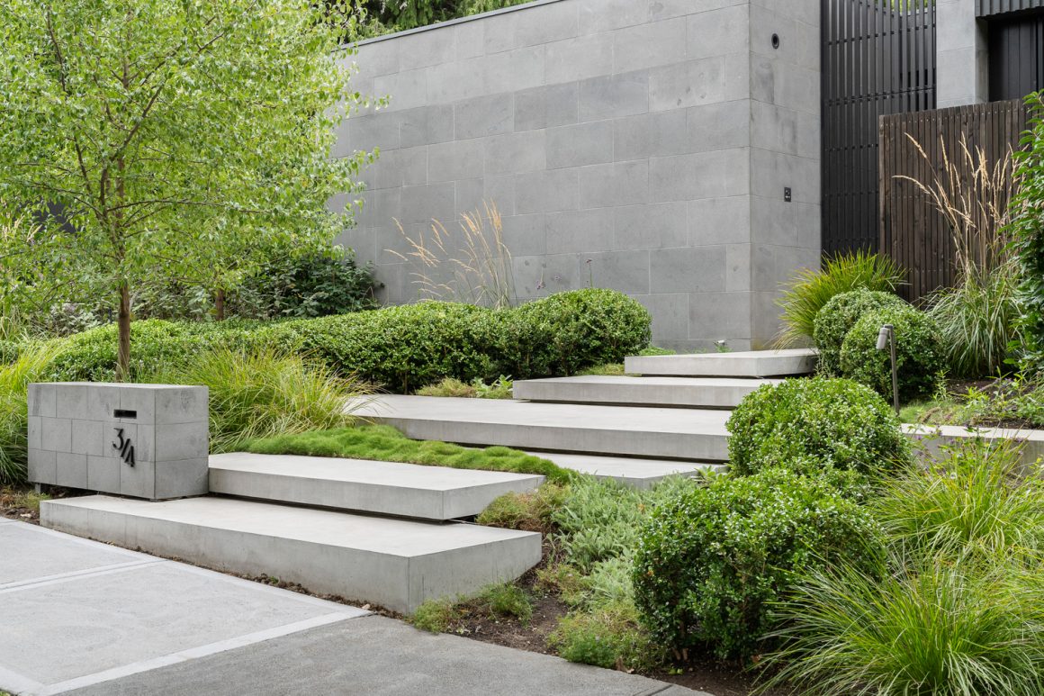 Empowering Excellence: Hungry Wolf Studio's Leading Edge in Online ...