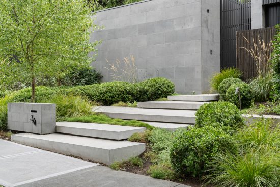 Empowering Excellence: Hungry Wolf Studio's Leading Edge in Online ...