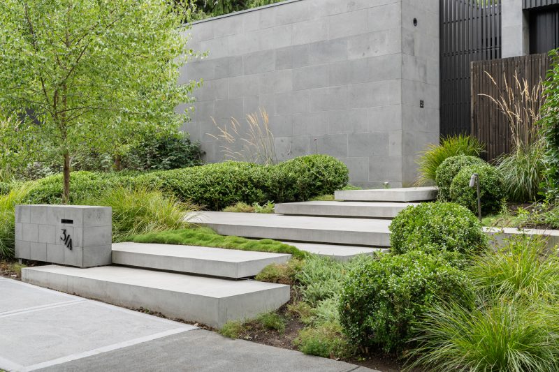 Empowering Excellence: Hungry Wolf Studio's Leading Edge in Online ...