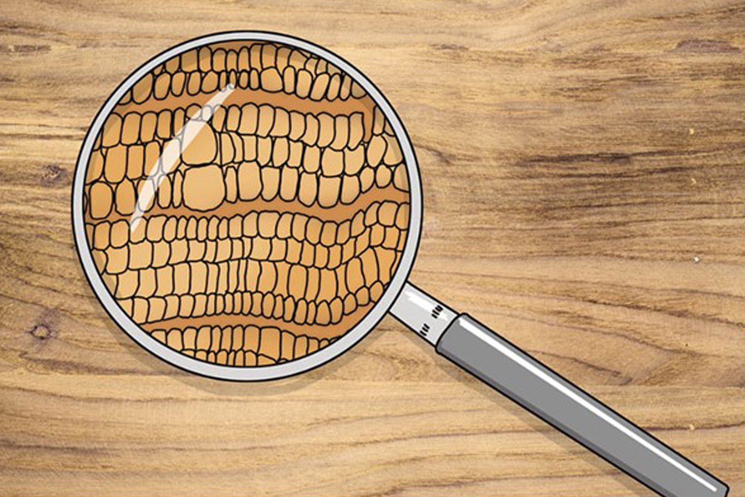 Timber - Classic Window Frame Material - Completehome