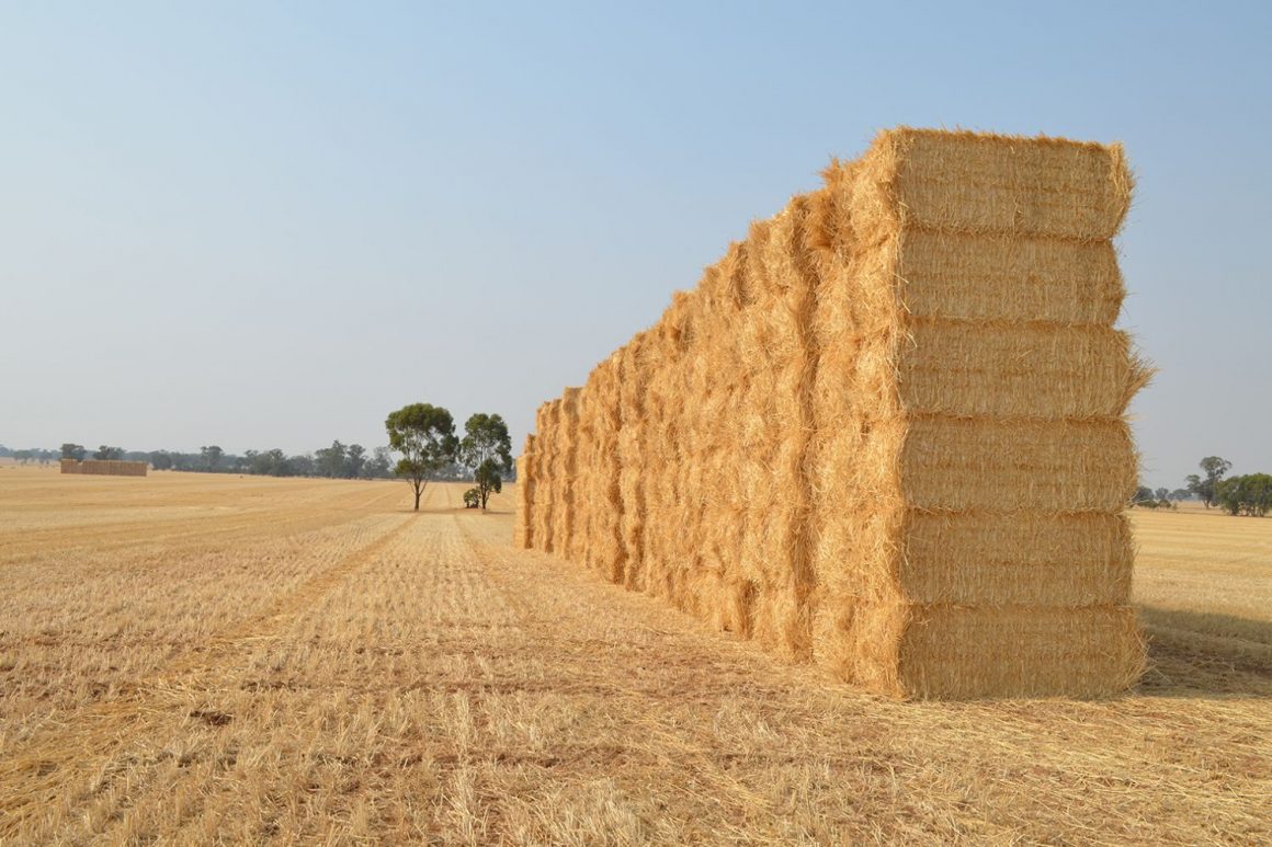 Durra Panel: 100% Biodegradable Building Material - Completehome