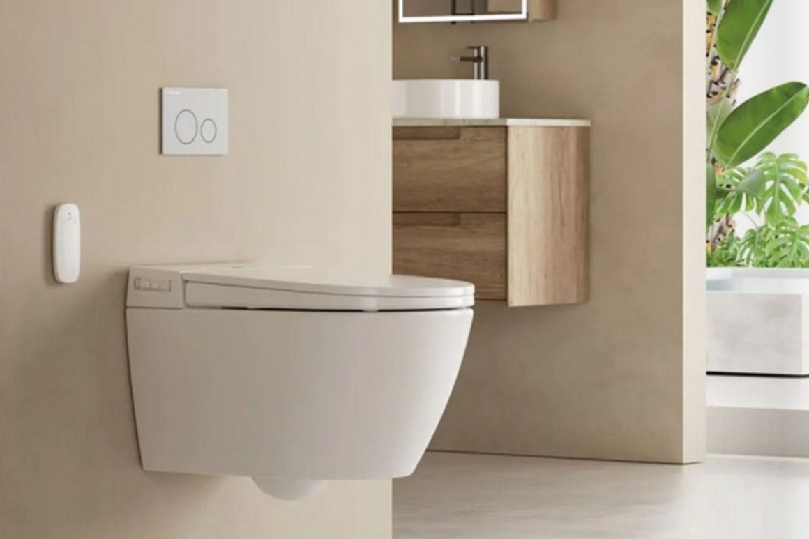 The Complete Guide to Modern Wall Toilet Systems: Design, Functionality ...