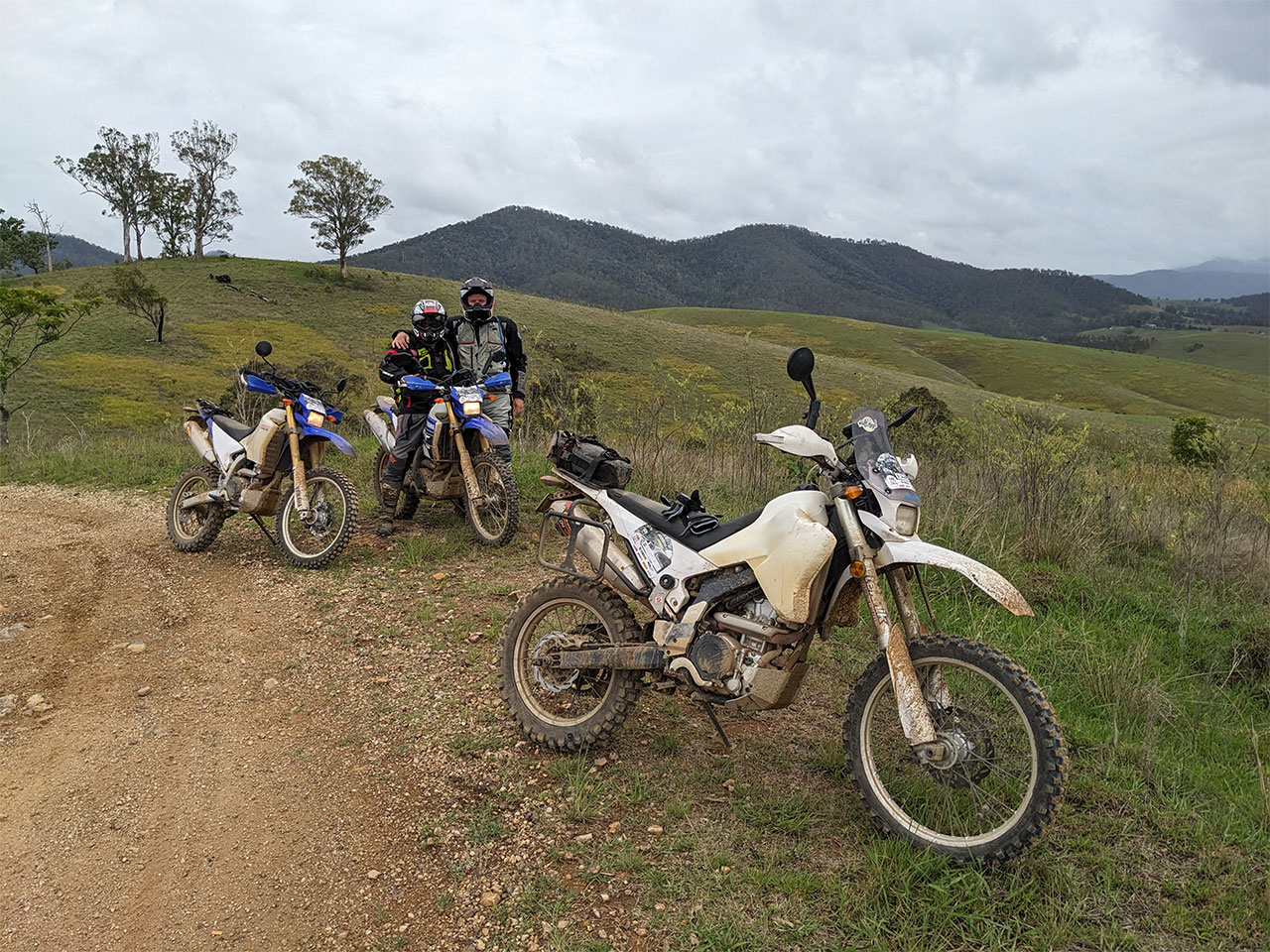 WR250R RALLY | Dirt Action