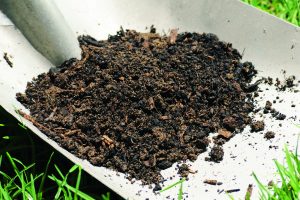 Understanding your soil it vital for a healthy organic garden