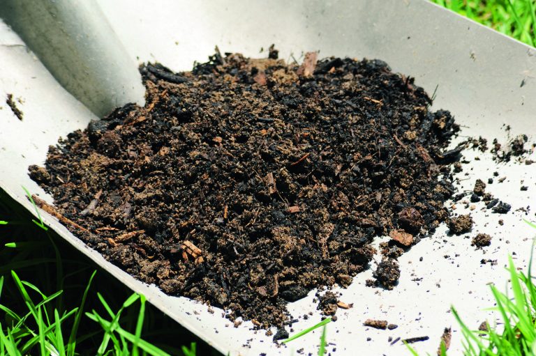 Understanding your soil it vital for a healthy organic garden