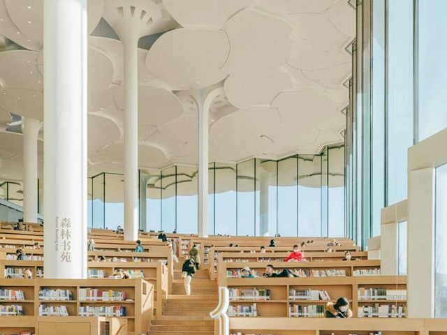 Reading Under a Tree | ODS