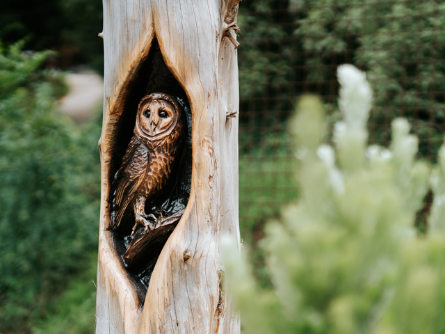 Wood Carving with Brandon Kroon - Project | ODS