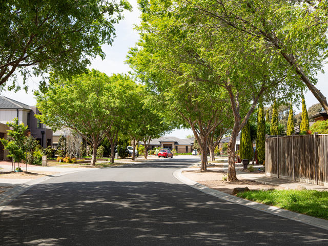Canopy Cover Transforming Australian Cities | ODS