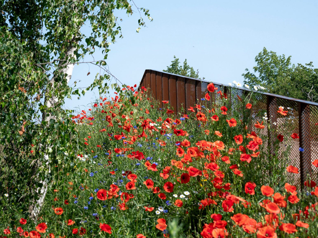 Flood-Defence System Doubles as a Nature Park | ODS