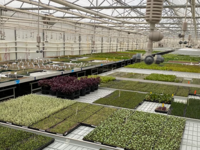 Introducing Mansfield's Propagation Nursery - Project | ODS