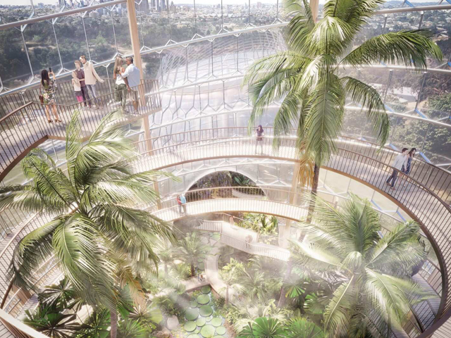 Plans for Mt Coot-ha Precinct Unveiled | ODS