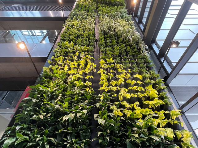 TAFE Meadowbank | ODS