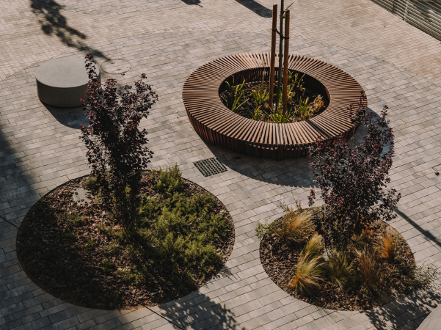 Spanish Bus Stop Acts as Urban Oasis | ODS