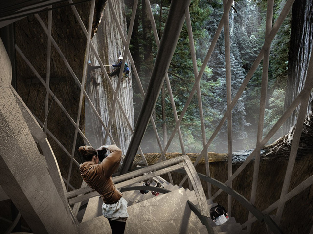 Giant Sequoia Cities - Project | ODS