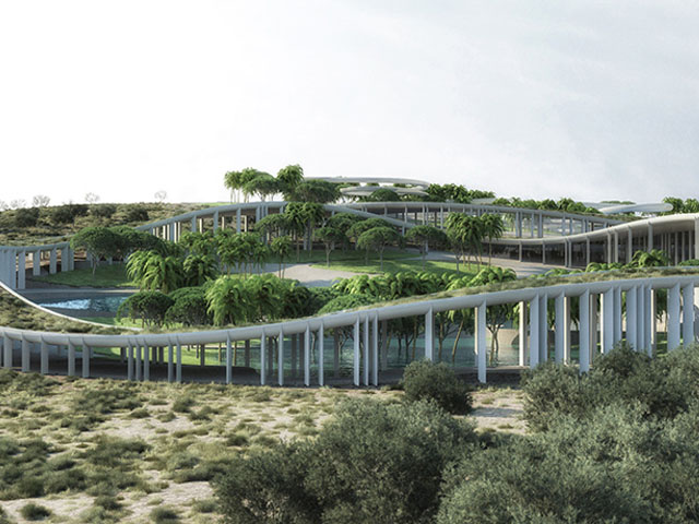 Paradise Found - Project | ODS