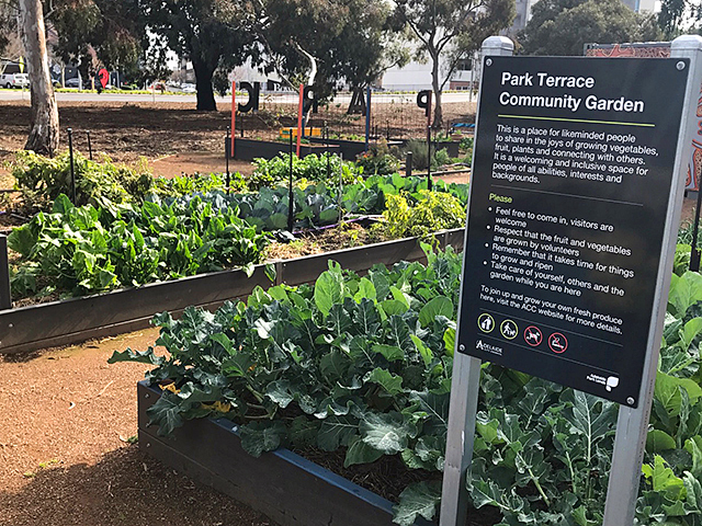 Gardens that Grow the Community - Project | ODS