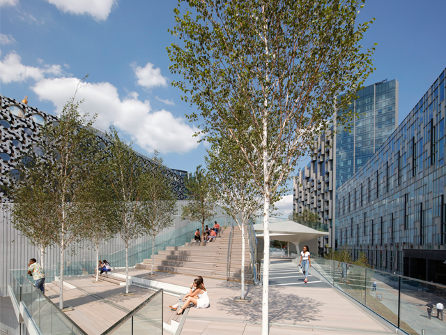 Taking Public Gardens to New Heights - Project | ODS