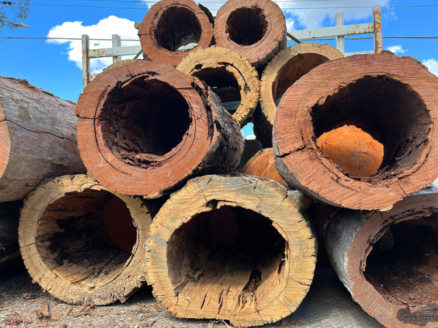 Natural Logs Used For Play - Project | ODS