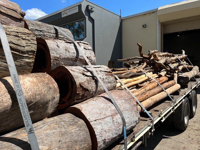 Natural Logs Used For Play - Project | ODS