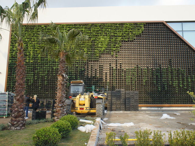 Facelift to Façade with Sustainable Green Wall - Project | ODS