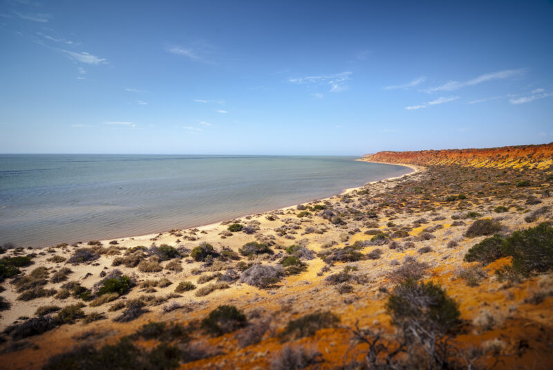 Discover Shark Bay: Running wild in the far west - WellBeing Magazine