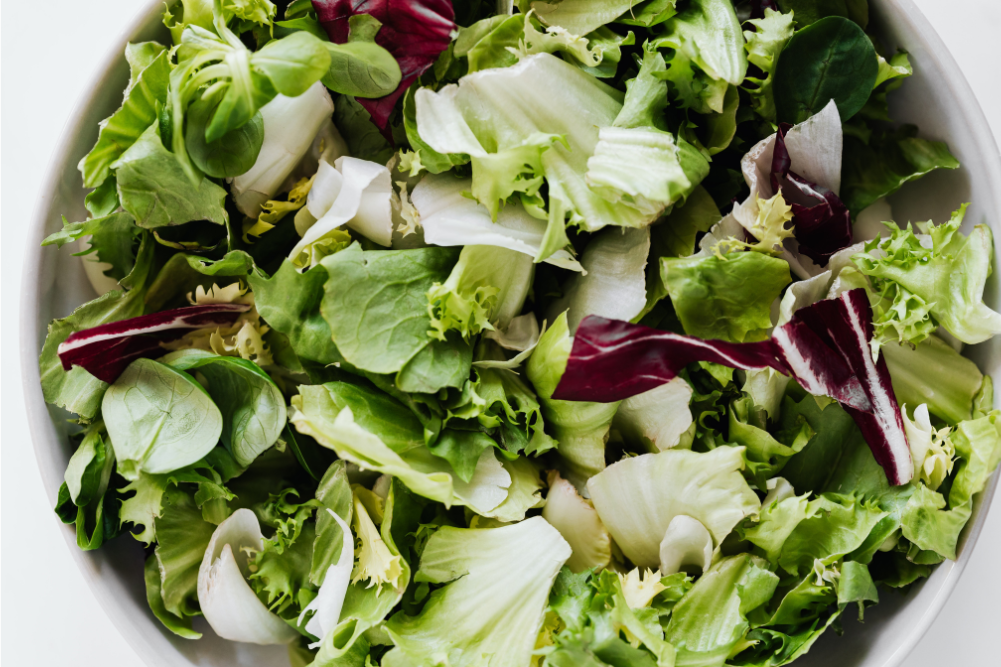 First Nations Food Companion