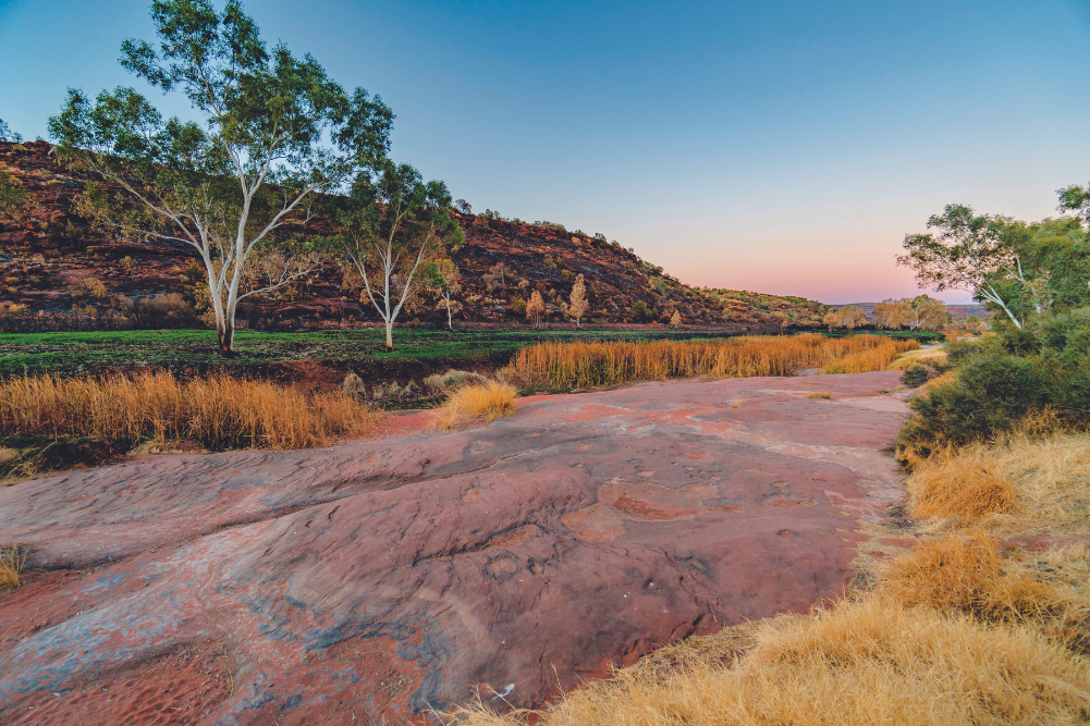 Let WellBeing take you on a trip to the Spectacular Finke Gorge ...
