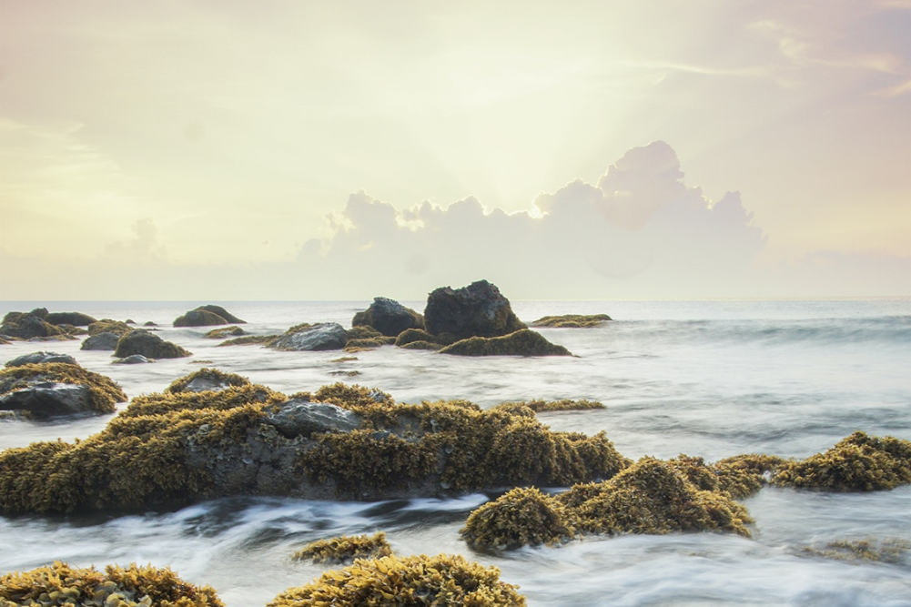 Discover the Natural Beauty Secrets of the Ocean - WellBeing Magazine