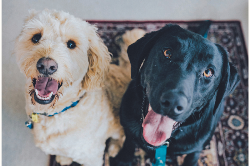 Positive anticipation - Why it's healthy to contemplate good times ...